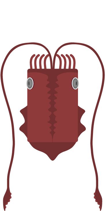 Giant Squid Wiki