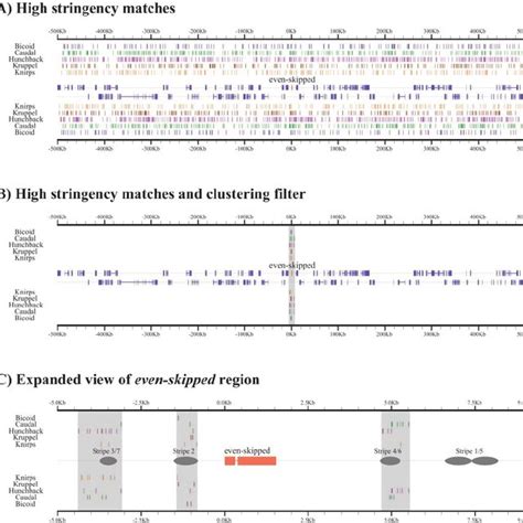 Distribution Of Predicted Transcription Factor Binding Sites And Download Scientific Diagram