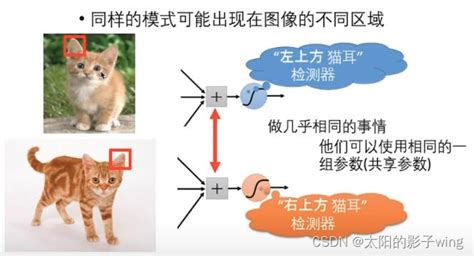 【使用卷积神经网络进行猫狗识别】 机器学习（附完整代码和数据集）太阳的影子wing的博客 Csdn博客