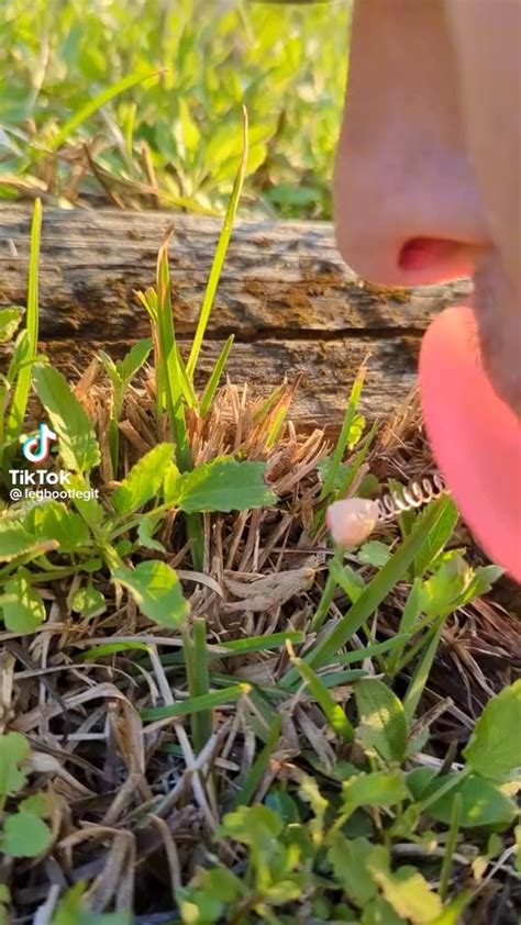 Cool Product Bug Kiss 💋 Runexpected