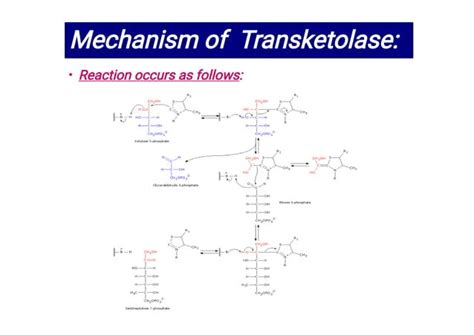 Tpp Coenzyme Chemistry Pdf Chemistry Science
