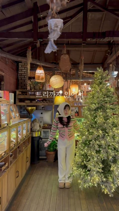 이선쥬ㅣ수원근교 카페 여행 숙소 올해 첫 트리는 행궁동 골디스로 🎄🫧 골디스 입구부터 클쓰 분위기 한가득인데 내부 트리도 반짝 반짝 너무 예뿌더라구용 붉은