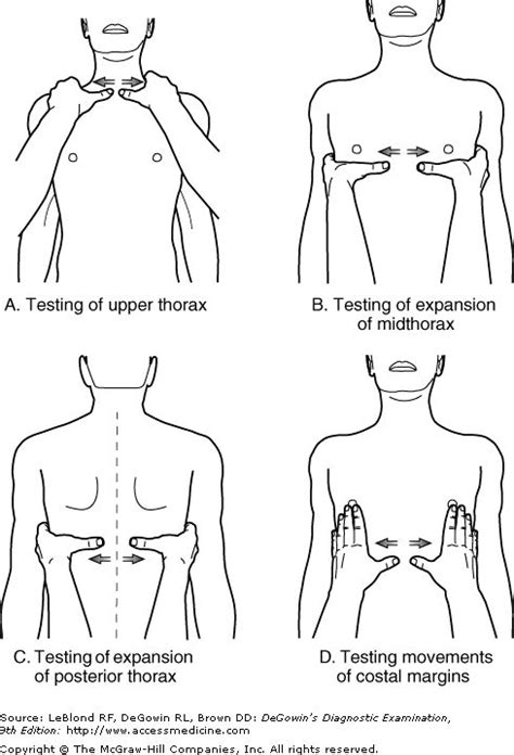 Respiratory Assessment Chest Palpation Nursing Tips Physical