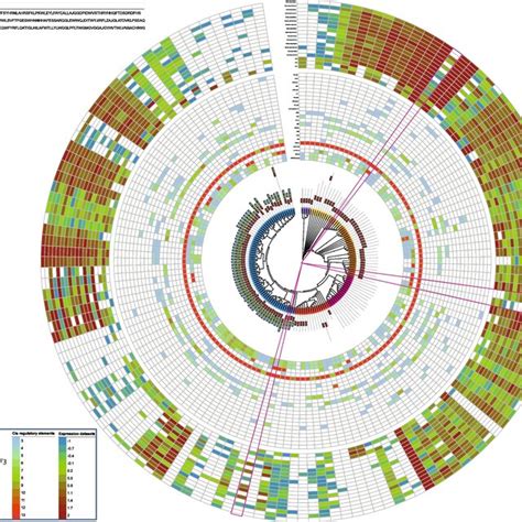 Phylogenetic Motif Composition Cis Regulatory And Expression Analysis Download Scientific