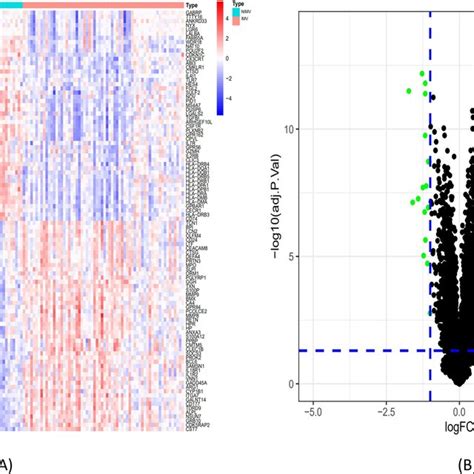 Illustrates The Training Set Gene Expression Profiling A A Heatmap Of