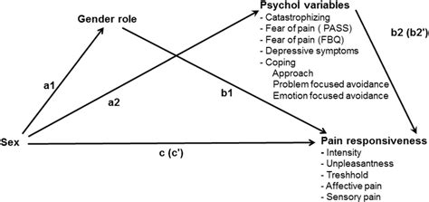 Model Of Associations Between Sex Gender Role Psychological Factors Download Scientific