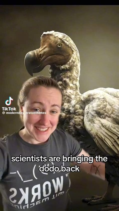 Scientists Are Bringing The Dodo Back Jurassic Park Style Rtiktokcringe