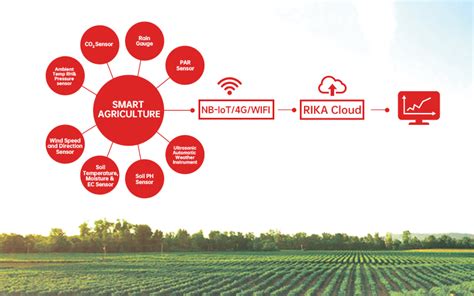 Revolutionizing Agriculture The Role Of Agricultural Sensors Rika Sensors