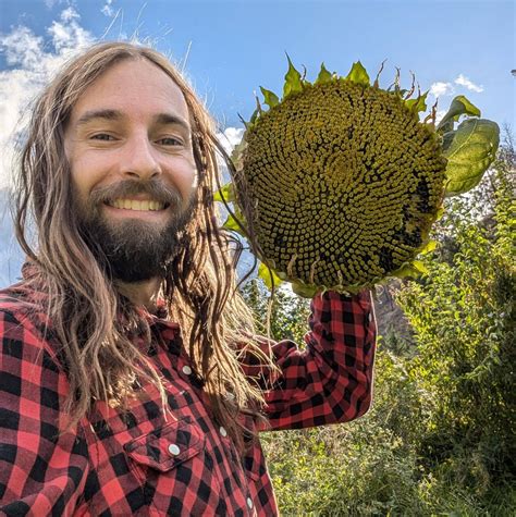 🪲 The Aphids Came In Clouds Soft Bodied Thieves On Tender Leaves But