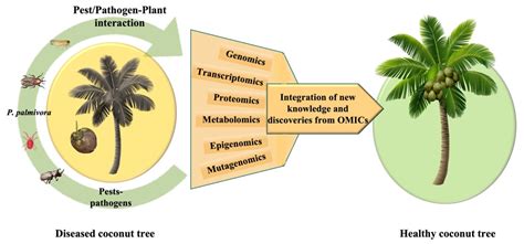 Agronomy Free Full Text Potential Of Omics To Control Diseases And