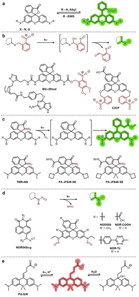 Common Caging Groups And Examples Of Fluorophores Containing Them A