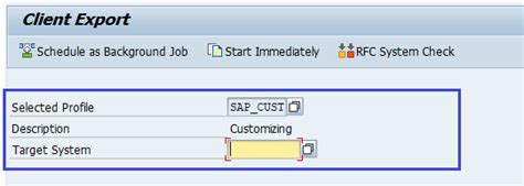 sap basis export import client