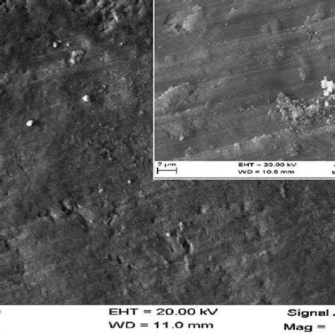 Scanning Electron Microscope Picture Of Control Tooth At ×500 And ×2500
