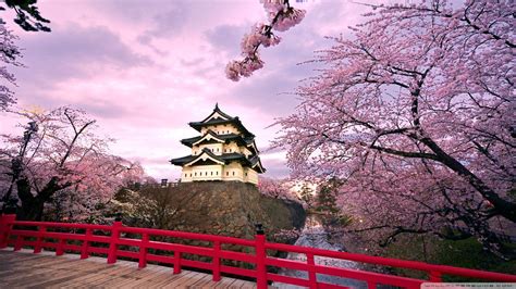 Japanese Hd Wallpapers Top Free Japanese Hd Backgrounds Wallpaperaccess