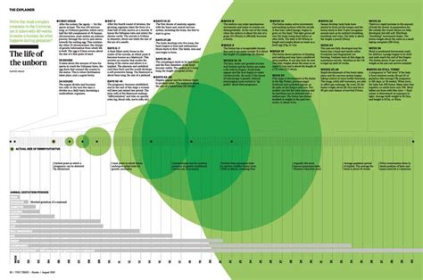 Eureka Magazine Annual Report Design Data Design Data Visualization Design