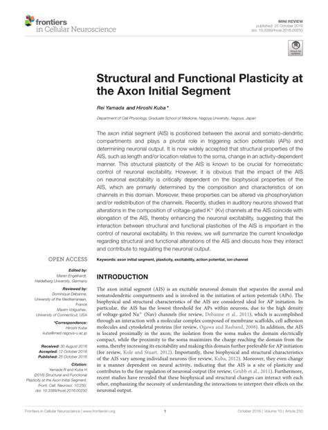PDF Structural And Functional Plasticity At The Axon Initial Segment