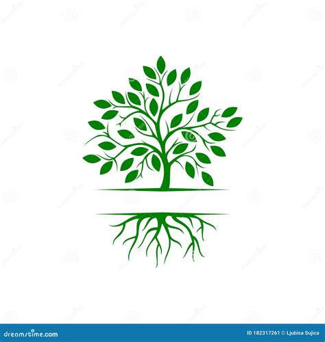 Tree With Roots Logo Isolated On White Background Stock Vector Illustration Of Black Foliage
