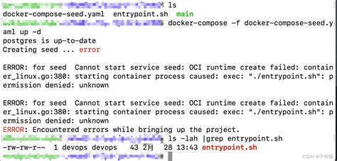 Docker启动报错 Oci Runtime Create Failed Container Linux Go380 Starting Container Process Oci
