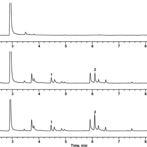 The Production Of Headspace Volatile Compounds Was Detected By Download Scientific Diagram