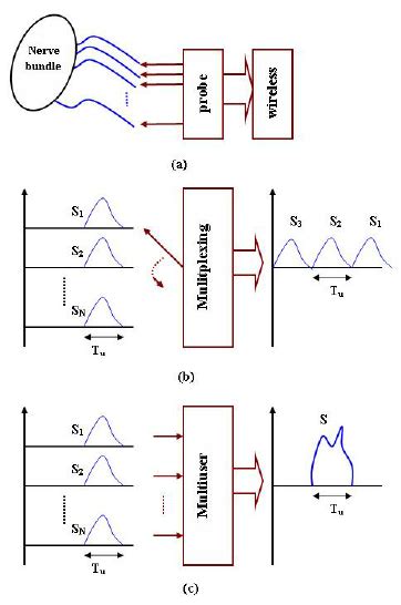 A Sensing And Transmitting Multiple Neural Signals B Using