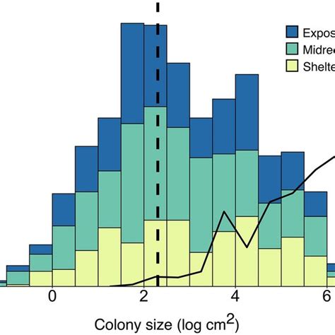 Size Class Structure Of Stylophora Pistillata Colonies For Each Reef Download Scientific