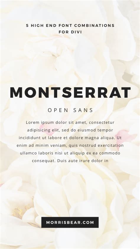 High End Font Combinations For Divi Morris Bear Designs Wordpress Website Designer For Coaches