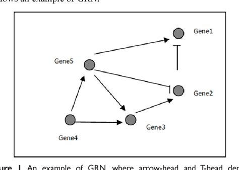 Figure 1 From A Survey On Recurrent Neural Network Based Modelling Of Gene Regulatory Network