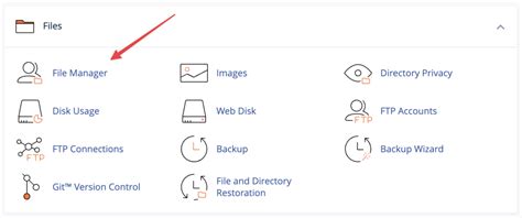 File Manager In CPanel Webx Networks