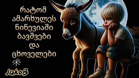 იონა წინასწარმეტყველი 3 4 Youtube