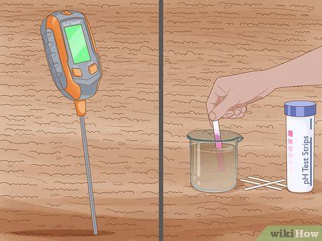 How To Adjust Soil PH Raising Lowering PH Levels