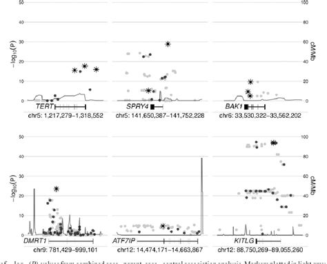 Table 1 From Investigation Of Six Testicular Germ Cell Tumor Susceptibility Genes Suggests A