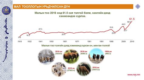 Малын тоо 61 5 саяд хүрлээ