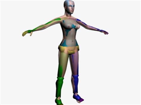 3d Biped Physique Woman Sena