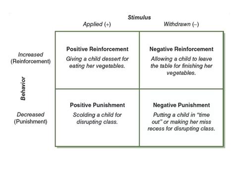 Behavioral Analysis Pptx
