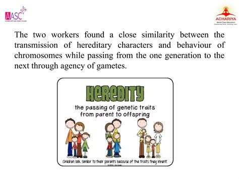 Chromosomal Theory Of Inheritance Ppt Genetics Science