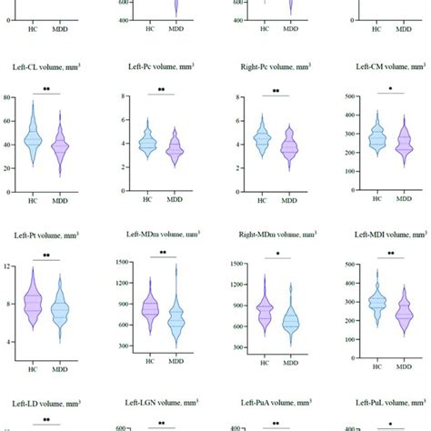 Schematic Figure Of The Altered Thalamic Nuclei Schematic Illustration