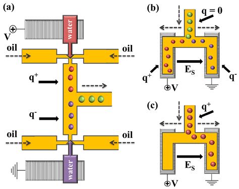 Micromachines Free Full Text Microfluidic Production Of Multiple Emulsions