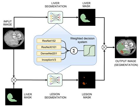 bioengineering free full text decision support system for liver lesion segmentation based on