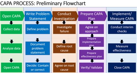 Capa Process Preliminary Flowchart Envision Performance Solutions