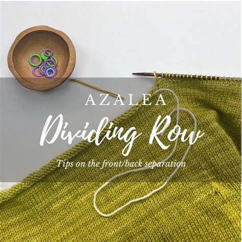 Dividing Row In Azalea Elizabeth Smith Knits