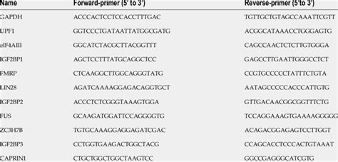 List Of Primers Used To Detect Mrna Expression Of Long Noncoding Rna Download Scientific