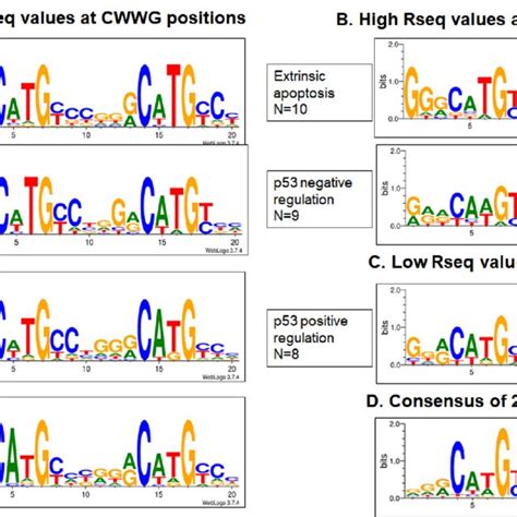 Consensus P53 Binding Motifs By P53 Dependent Functional Outcome