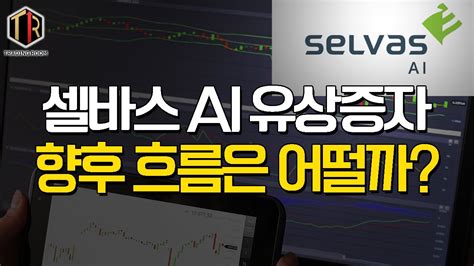 셀바스 Ai의 향후 흐름은 어떻게 이어질까 Youtube