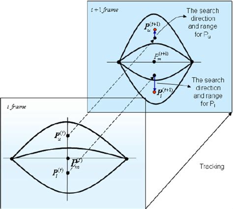 4 Optical Flow Tracking Download Scientific Diagram