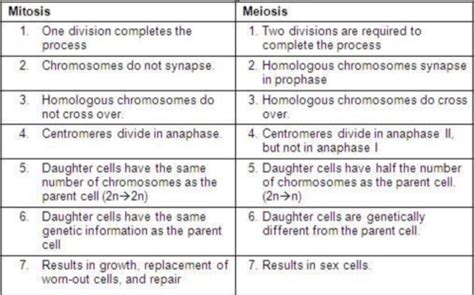 Biology Lab Practical 2 Flashcards Quizlet