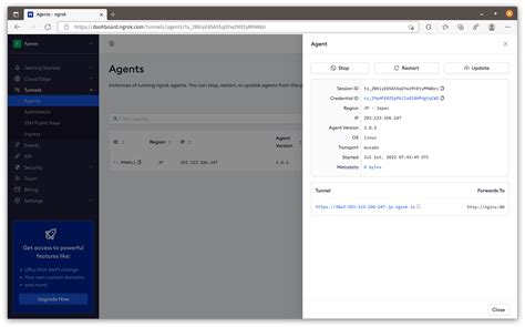 How To Use Ngrok With Docker