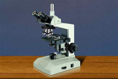 Light Microscope Bagi In Com