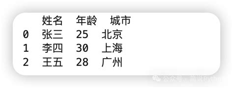 Python Pandas 全面指南：用法介绍及10个应用场景实践 Csdn博客