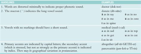 Chapter 2 Flashcards Quizlet
