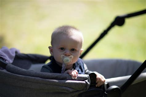 가족 고요한 귀여운 귀중한 나무 장식 녹색 담요 다정함 담요 바구니 유모차 부드러운 빛 빈티지 유모차 사랑스러운 새로운 삶 섬세한 소프트 포커스